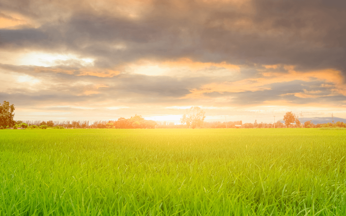 Homepage - Greater Wayne Community FCU